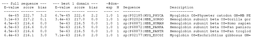 Hmmer安装与使用-CSDN博客