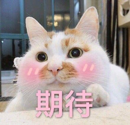 多起点的局部搜索算法(multi-start local search)解决TSP问题（附Java代码及注释）-CSDN博客