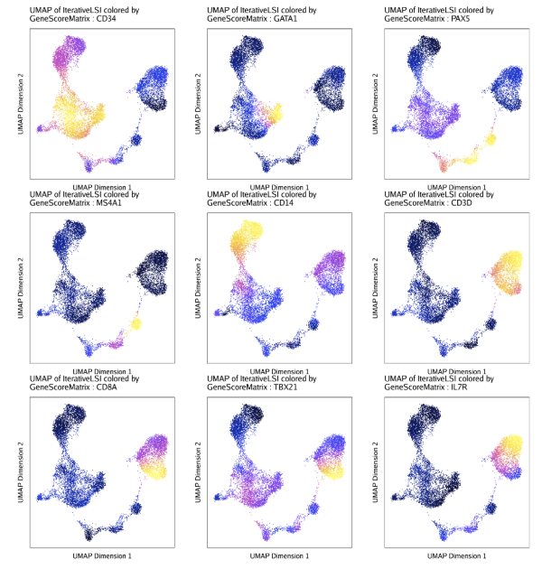 使用ArchR分析单细胞ATAC-seq数据(第八章)-CSDN博客