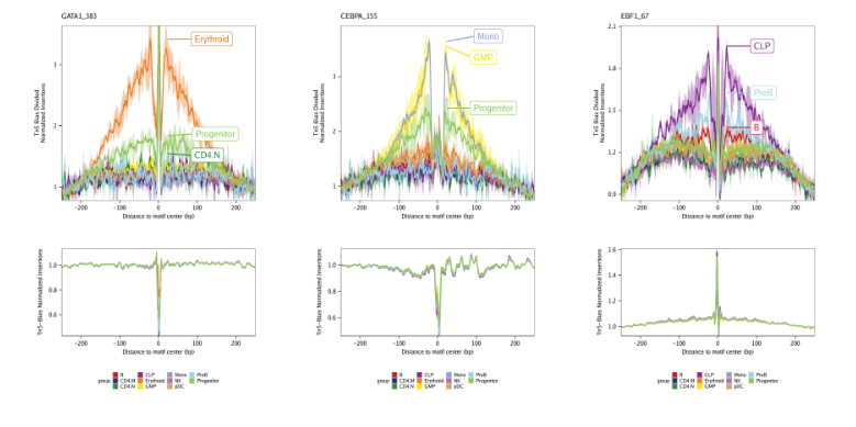 使用ArchR分析单细胞ATAC-seq数据(第十四章)-CSDN博客