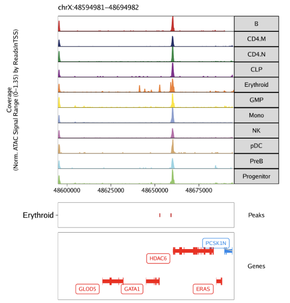 使用ArchR分析单细胞ATAC-seq数据(第十一章)-CSDN博客