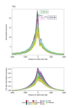 使用ArchR分析单细胞ATAC-seq数据(第十四章)-CSDN博客