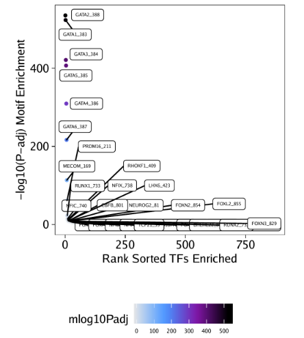 使用ArchR分析单细胞ATAC-seq数据(第十二章)-CSDN博客