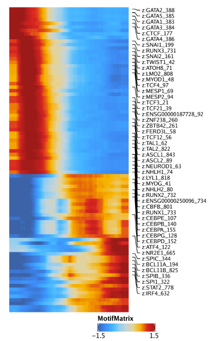 使用ArchR分析单细胞ATAC-seq数据(第十六章)-CSDN博客