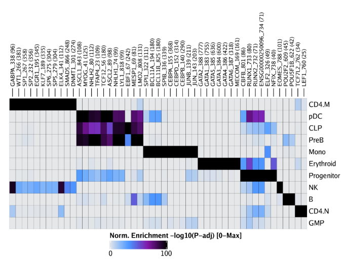 使用ArchR分析单细胞ATAC-seq数据(第十二章)-CSDN博客