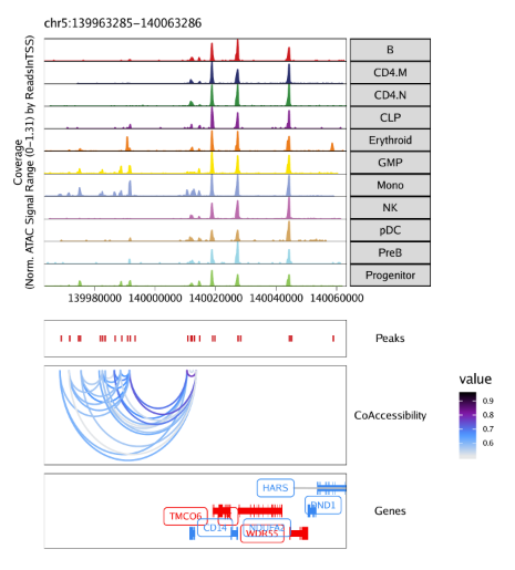 使用ArchR分析单细胞ATAC-seq数据(第十五章)-CSDN博客