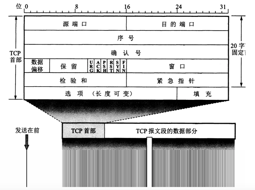 TCP和UPD详解_upd协议和tcp协议的区别-CSDN博客