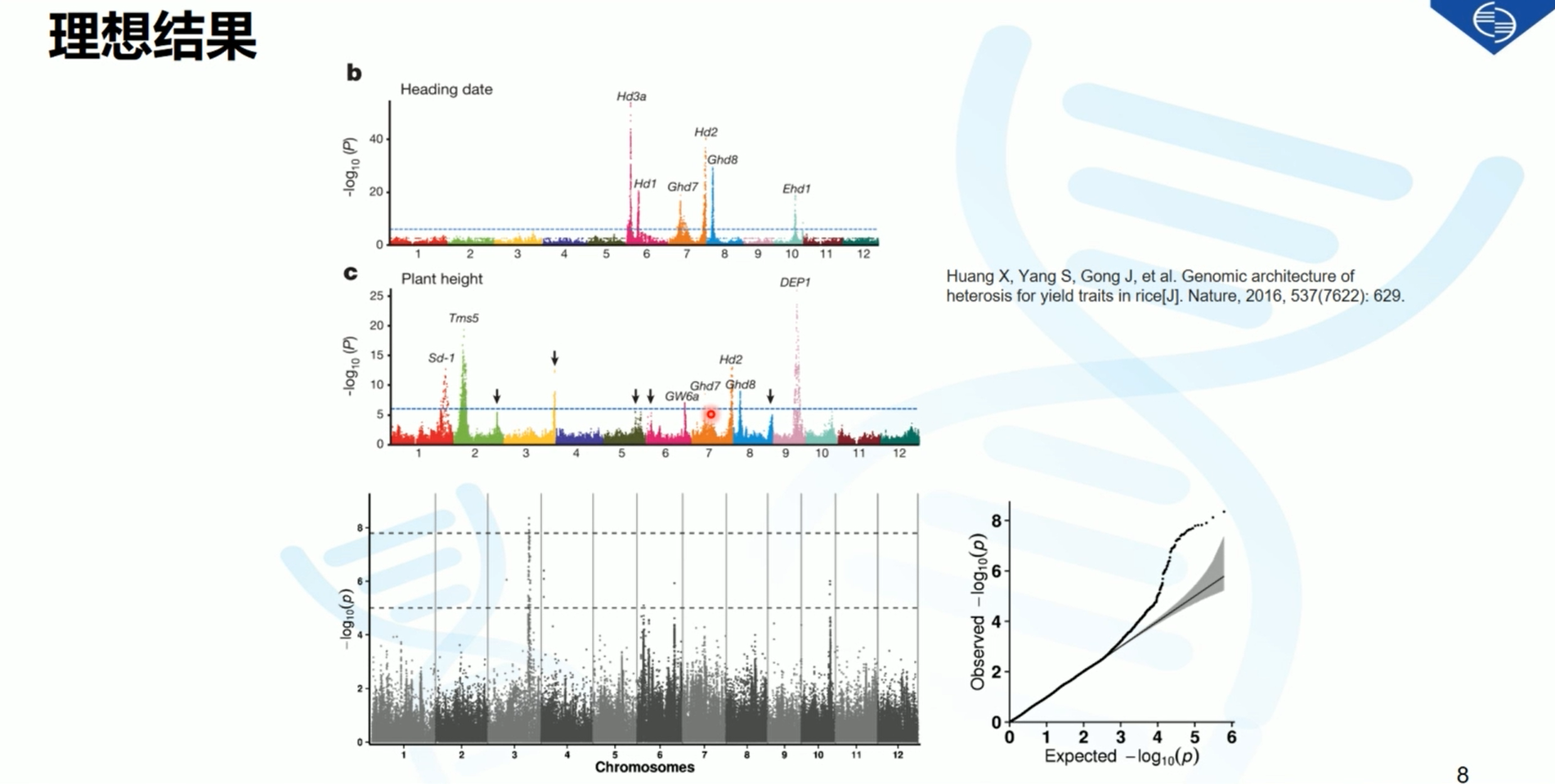 GWAS理论 1-5 全基因组关联分析结果解读与经典案例介绍-CSDN博客