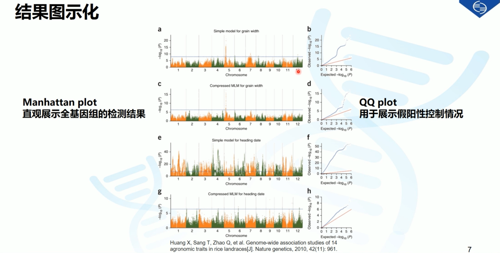 GWAS理论 1-5 全基因组关联分析结果解读与经典案例介绍-CSDN博客