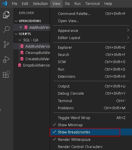 Visual Studio Code（VS Code）入门_culuo4781的博客-CSDN博客