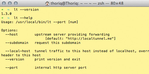 localtunnel_使用Localtunnel在线访问本地Web服务器-CSDN博客