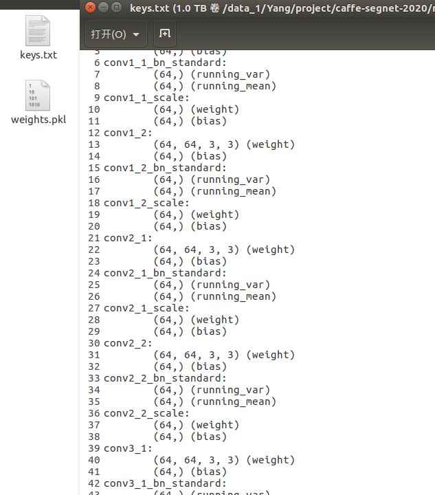 caffe模型转pytorch-CSDN博客