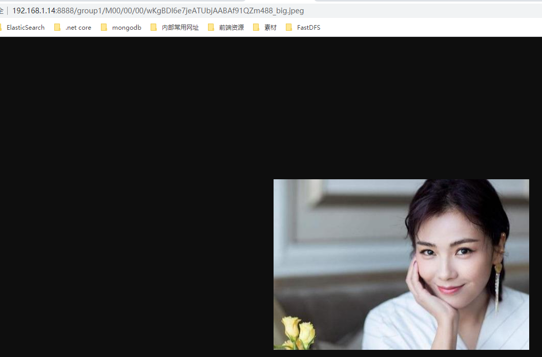 用asp.net core结合fastdfs打造分布式文件存储系统-CSDN博客