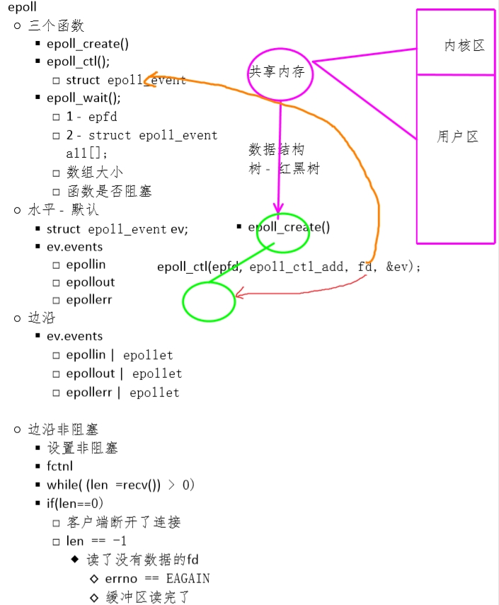 Linux高并发网络编程开发——广播 组播 本地套接字 Csdn博客