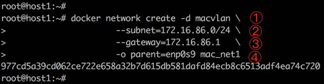 Docker 初识 macvlan网络_unraid docker macvlan-CSDN博客