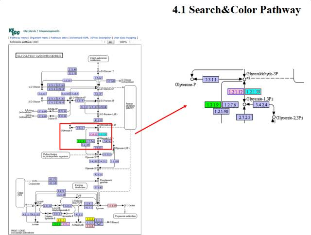 KEGG在线数据库使用攻略-CSDN博客