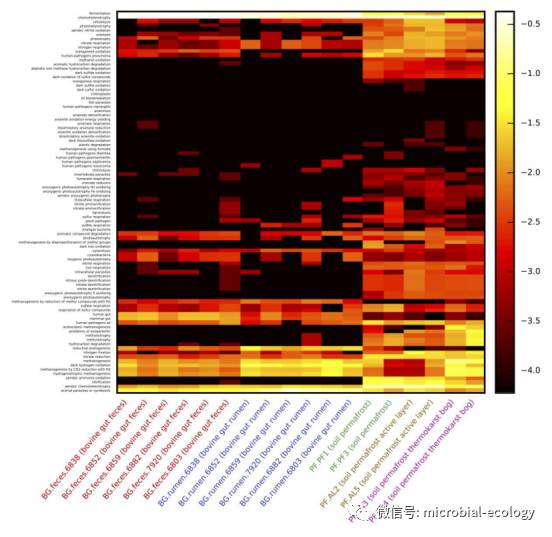如何用FAPROTAX预测微生物群落功能-CSDN博客