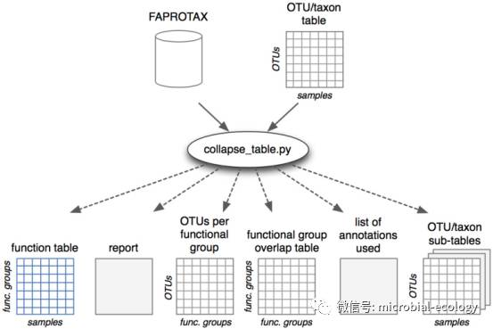 如何用FAPROTAX预测微生物群落功能-CSDN博客