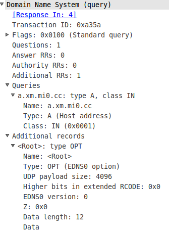 DNS support edns-client-subnet_远程 dns edns client subnet-CSDN博客
