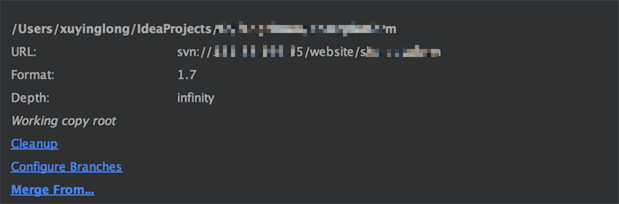 IntelliJ IDEA SVN 分支代码合并（图文详解）_remove empty changelist-CSDN博客
