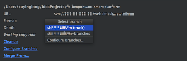 IntelliJ IDEA SVN 分支代码合并（图文详解）_remove empty changelist-CSDN博客