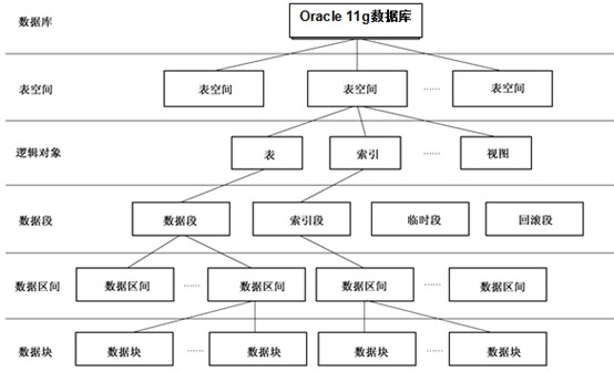 Oracle数据库第一课——oracle数据库基础知识、oracle Database 11g的体系结构、登录oracle数据库多个系统使用同一oracle Csdn博客