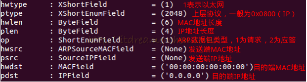 scapy构造数据包总结-CSDN博客