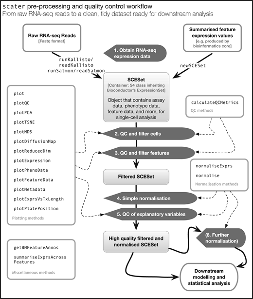 单细胞转录组(scRNA-seq)分析01 | Scater包的使用_scrnaseq包-CSDN博客