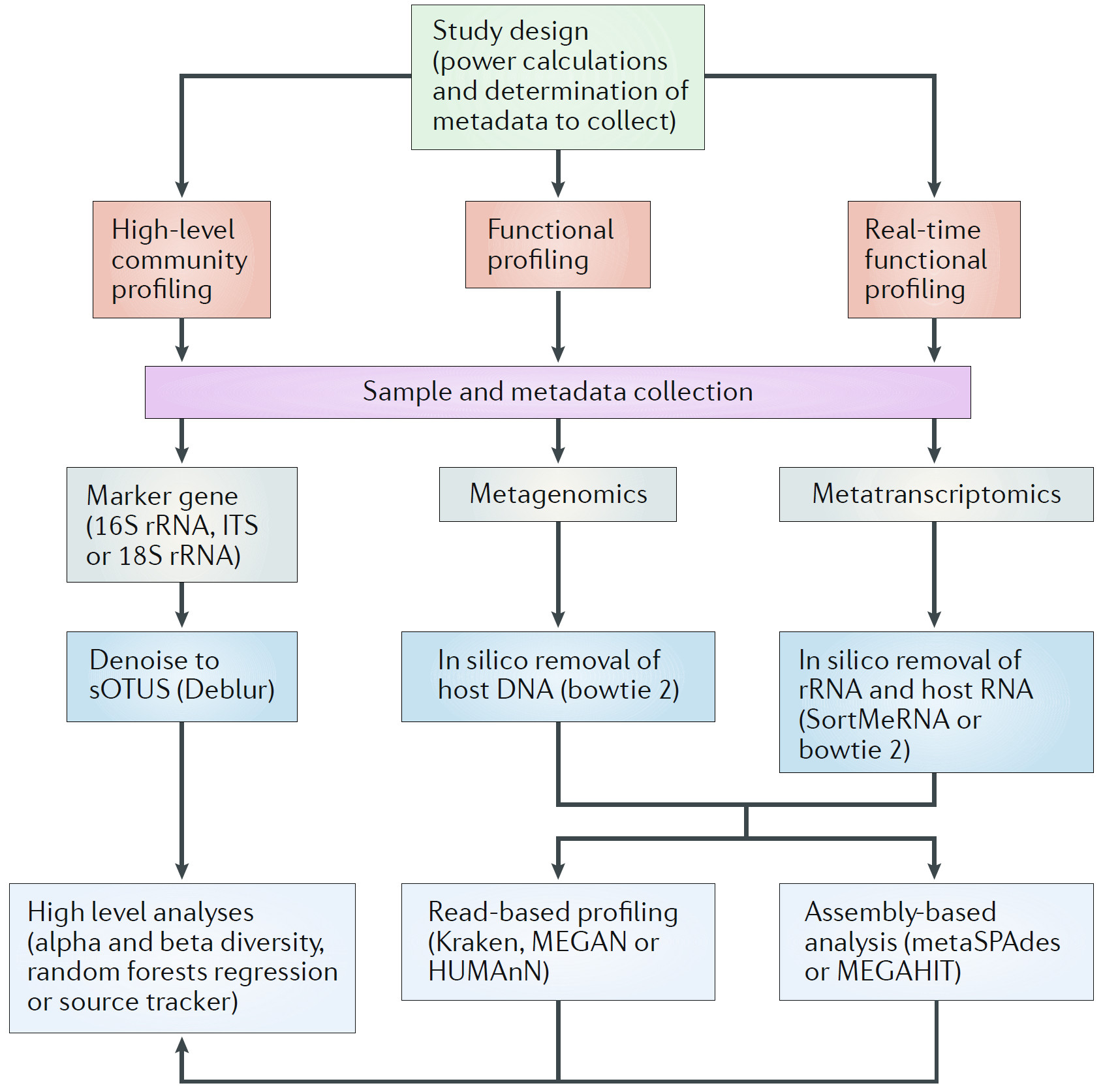 Nature综述：Rob Knight带你分析微生物组数据(2020版)_exact sequence variants-CSDN博客