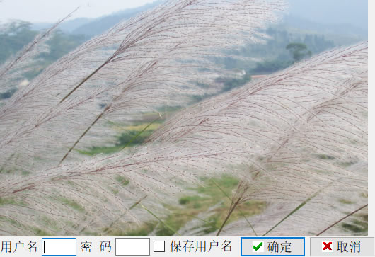 初识qt（四十五）——qt Splash窗口设计（代码 实现详解 Csdn博客