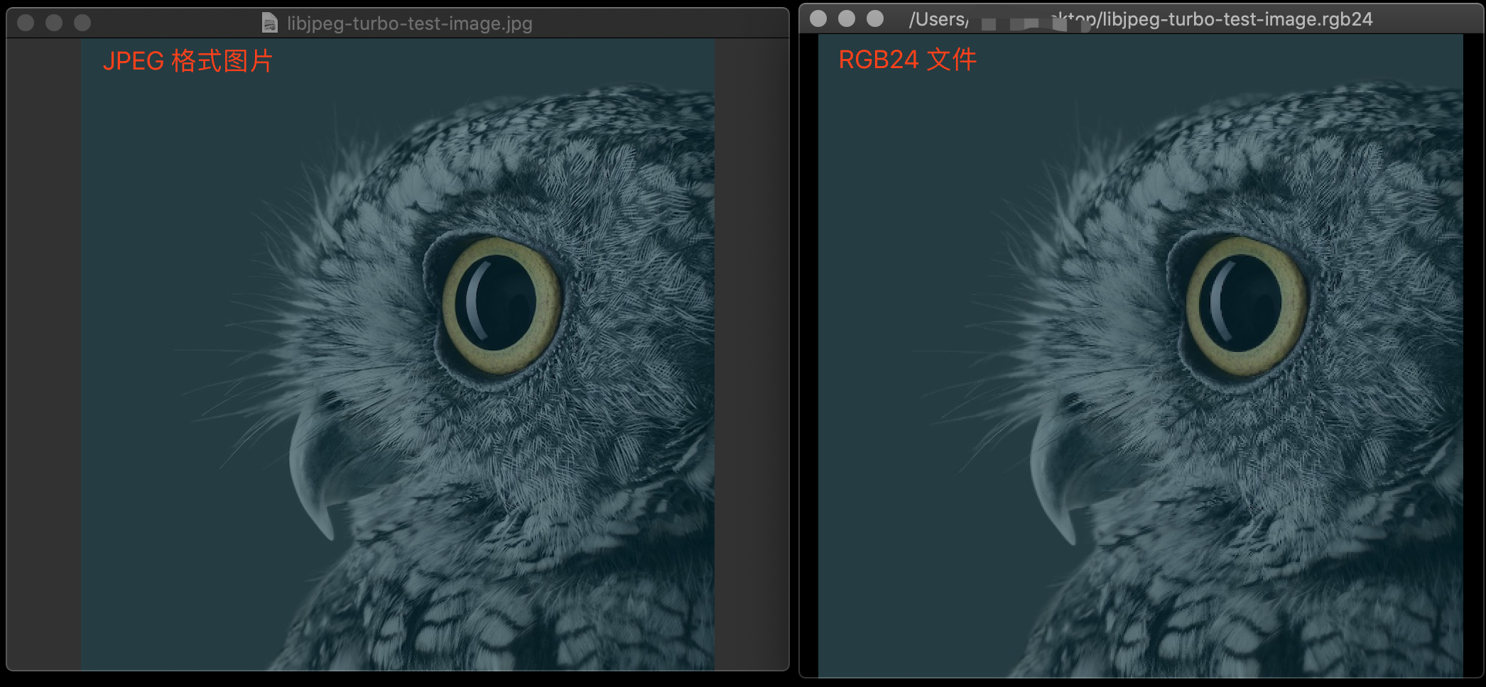 音视频入门-16-使用libjpeg-trubo处理JPEG图片_libjpeg-turbo去黑边-CSDN博客