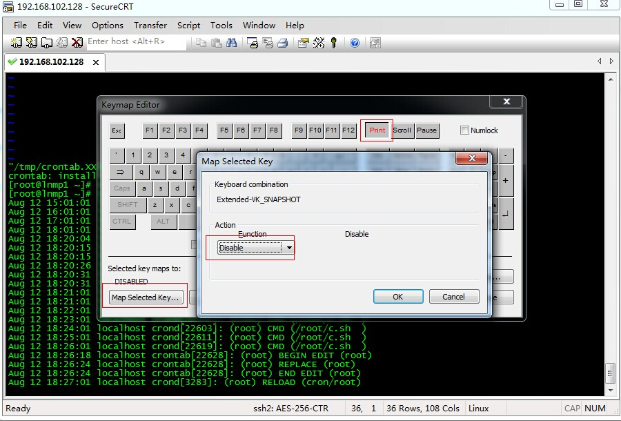 SecureCRT 解决 auto print 的问题 - 程序员大本营