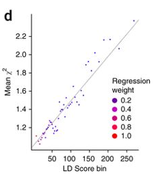 连锁不平衡的计算以及LDSC分析多基因遗传_ldsc基因-CSDN博客