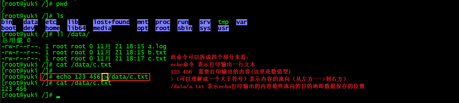 Linux 命令每日一练：echo命令将echo显示的内容输入到一个变量中 Csdn博客 