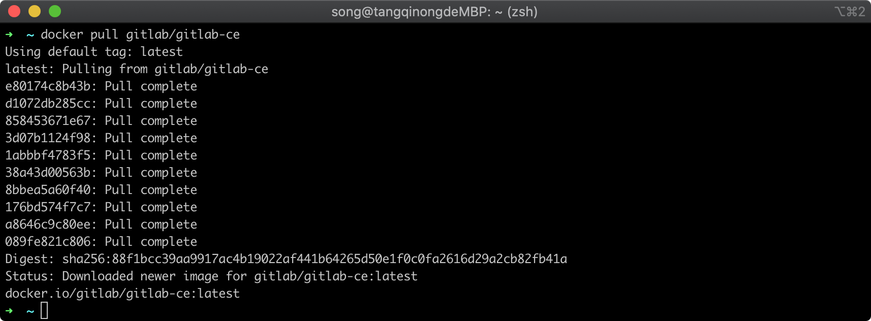 Git专题：搭建Git服务器：使用Docker快速搭建Gitlab_docker.exe在git中使用-CSDN博客