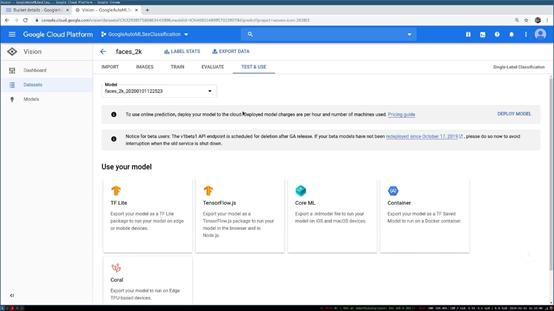 实操指南：用谷歌AutoML构建图像分类模型_automl 图像多分类-CSDN博客