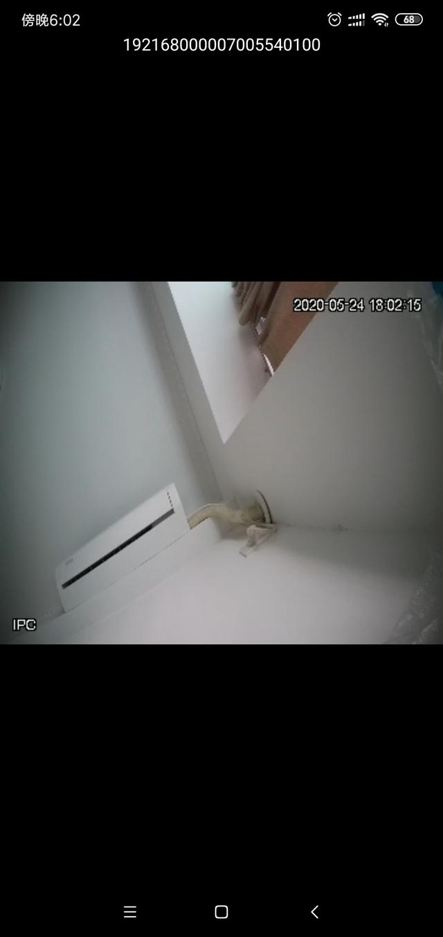 IPC 移动端或web端接入方案的RTMP实践_ipcweb-ng-CSDN博客