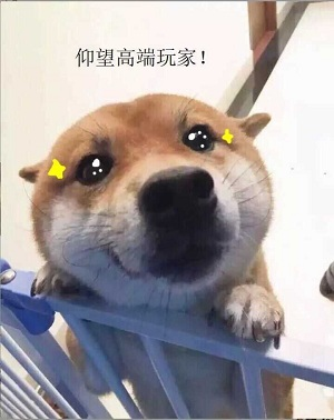 讲讲EXIF Viewer XSS漏洞的来龙去脉_exiftool 预览图片xss-CSDN博客