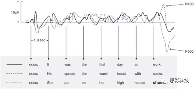 《大话脑科学》之：熟练掌握十门外语之从入门到放弃之语言相关ERP_p600分布电极在哪里-CSDN博客