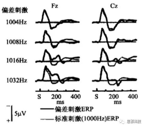 《大话脑成像》三国风云之ERP的基础成分争雄（上）_脑电cnv成分-CSDN博客