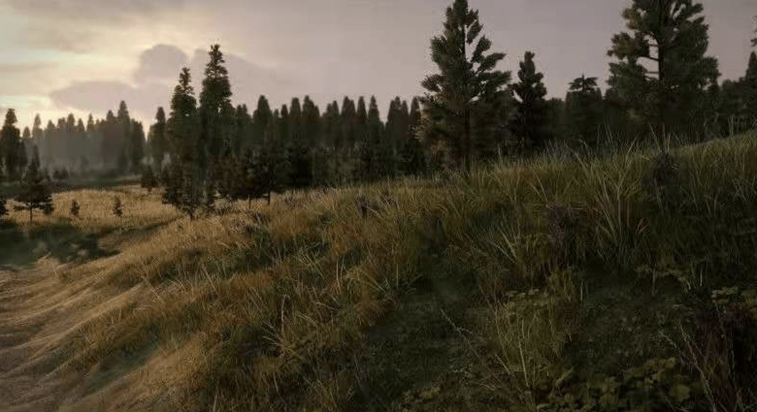 SpeedTree Shader开源库测评_speedtree 库-CSDN博客