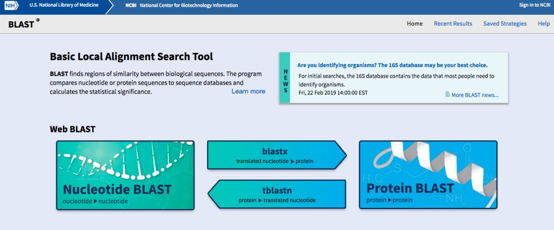 生信入门：序列比对之blast在线和本地使用_生物信息学blast-CSDN博客