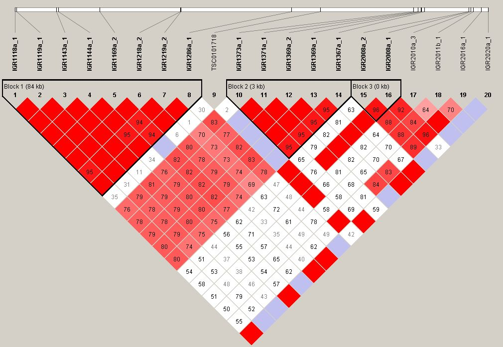 连锁不平衡的计算以及LDSC分析多基因遗传_ldsc基因-CSDN博客