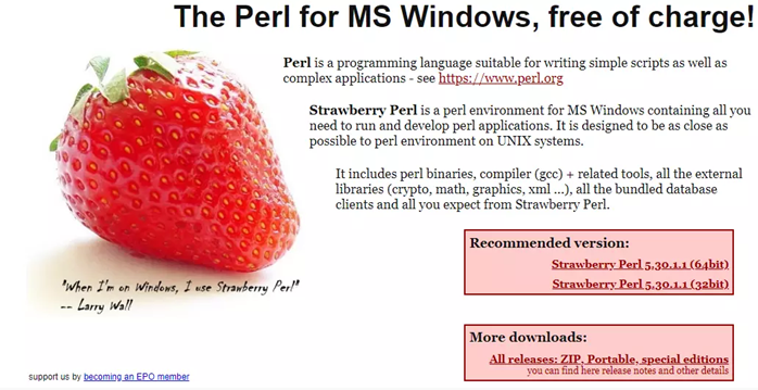 1.1 windows环境安装Perl_windows perl-CSDN博客