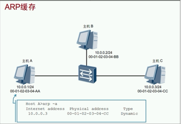 ARP--网络层05_arp 协议需要关闭stp disable-CSDN博客