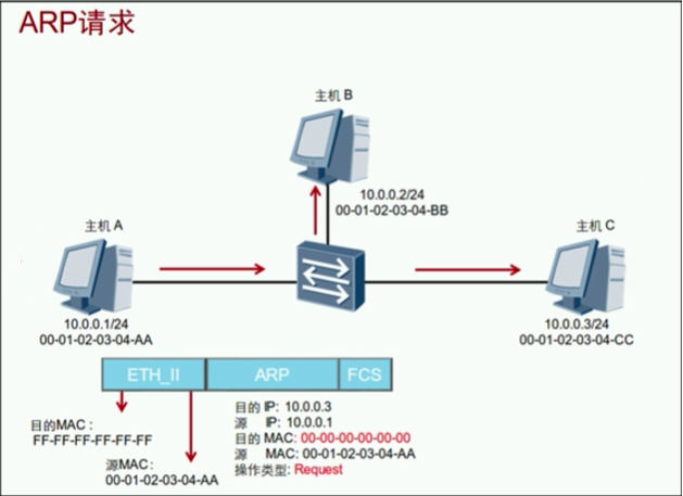 ARP--网络层05_arp 协议需要关闭stp disable-CSDN博客