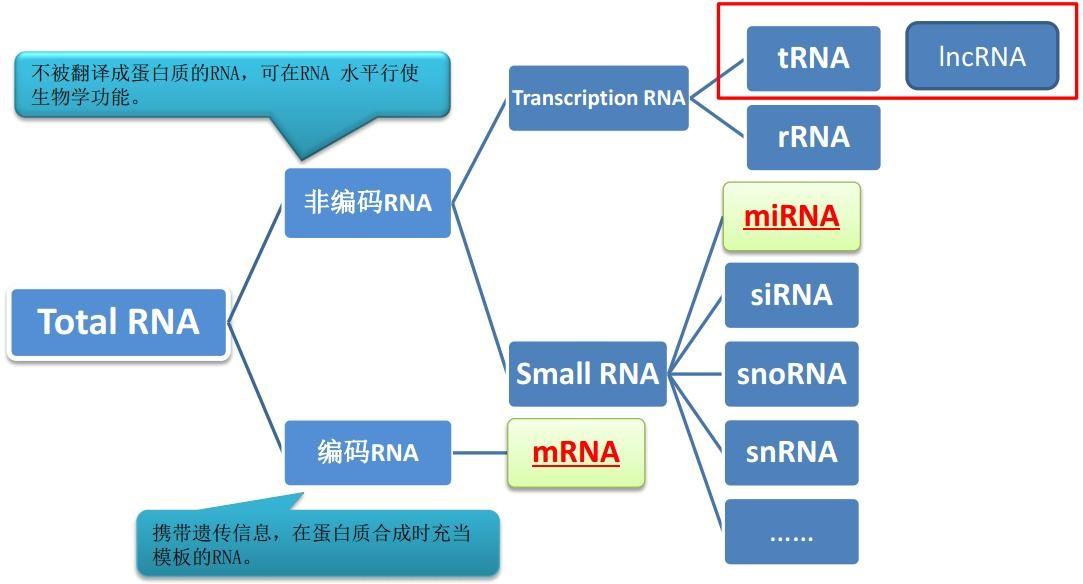 RNAseq理论基础_mrna和smallrna-CSDN博客