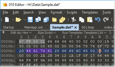 010 Editor 9.x.x——安装、注册和汉化_010editor怎么改中文-CSDN博客