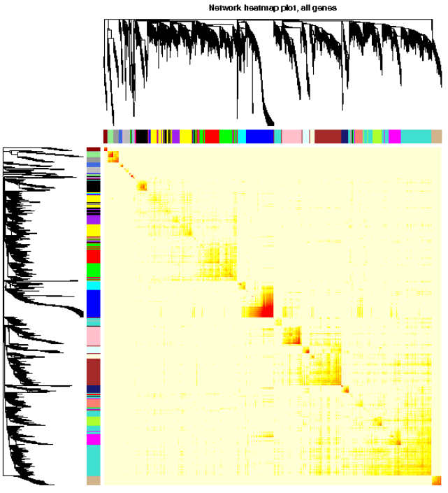 WGCNA分析及实现_wgcna分析条件-CSDN博客