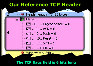 TCP Flag Options - Section 4_the urgent pointer field is nonzereo while the urg-CSDN博客